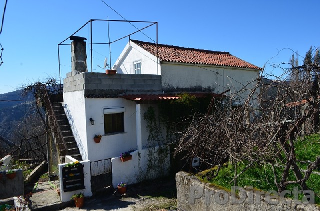 Front view - ProDirecta