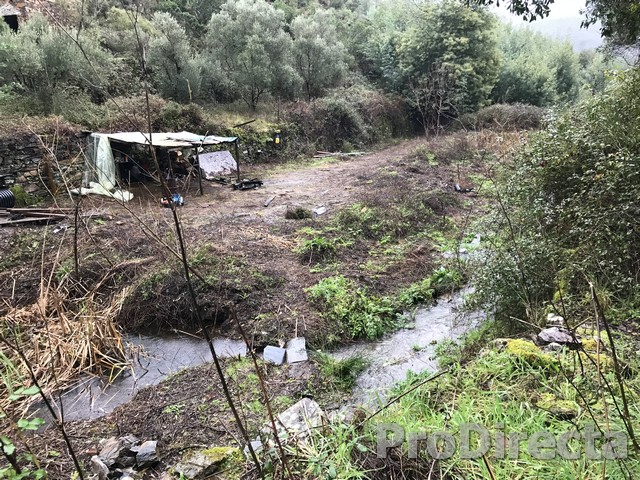 Quinta do Pranto – PD0499 **SOLD** - ProDirecta